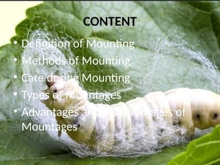 Mounting - Definition, methods, types, etc,.pptx