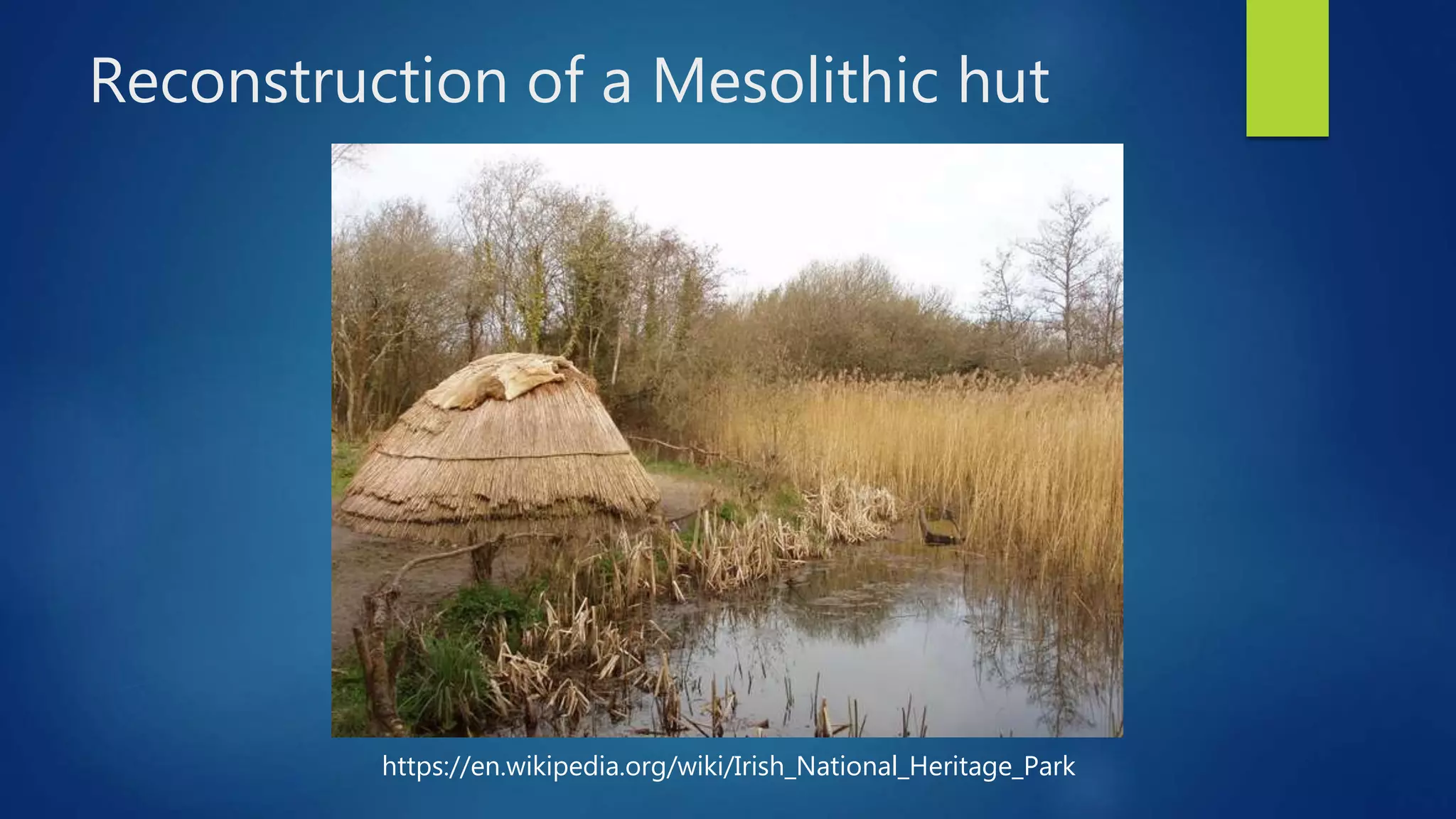 Mesolithic Mountsandel | PPTX