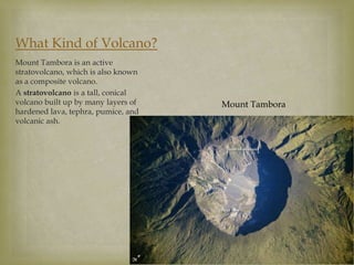 Mount tambora | PPT