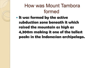 Mount tambora | PPTX
