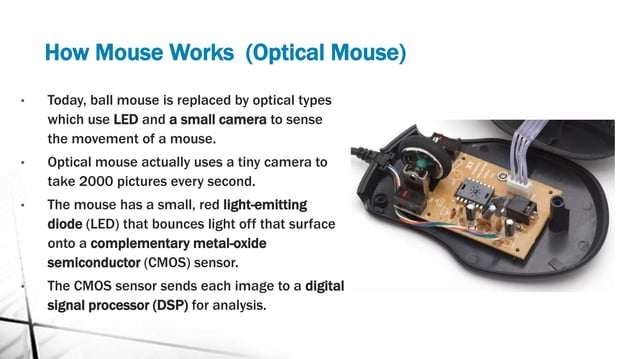 Presentation on Computer Mouse | PPTX