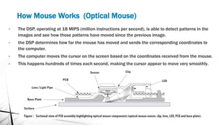 Presentation on Computer Mouse | PPTX