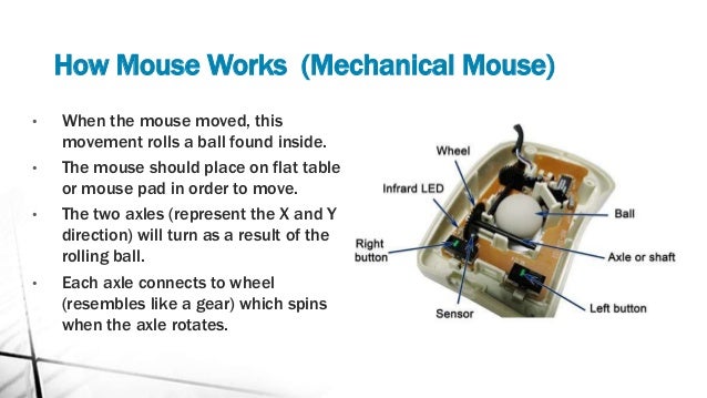 Presentation on Computer Mouse