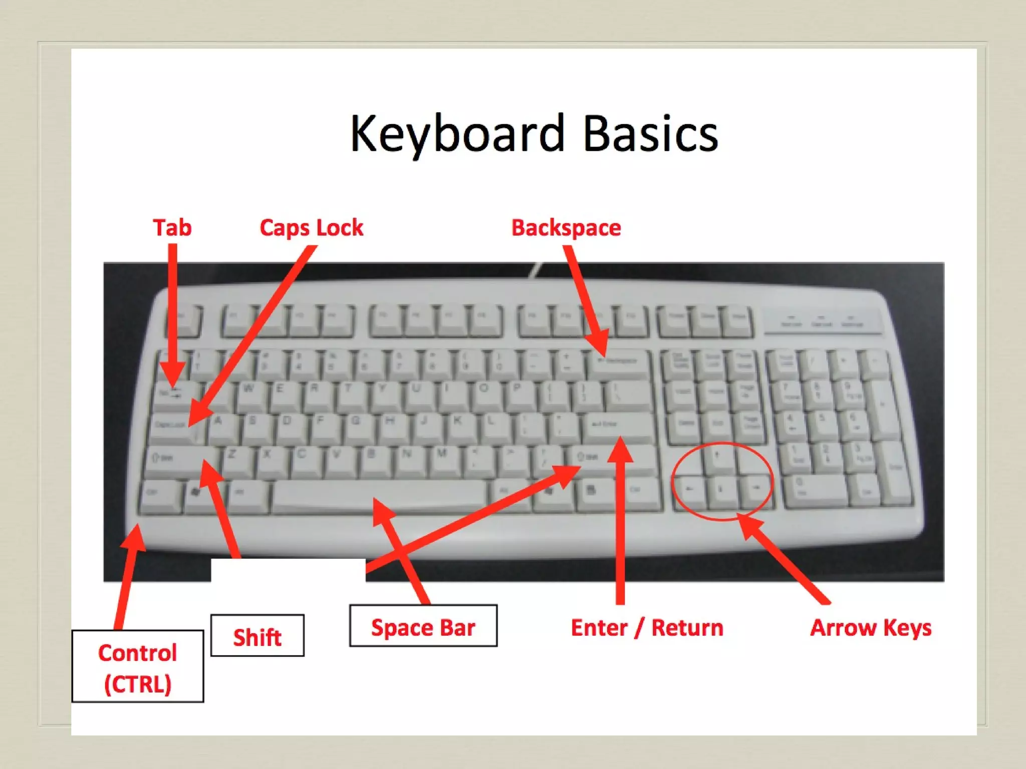 Mouse and Keyboard | PPT