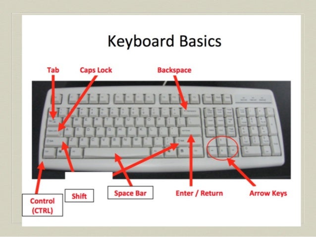 Mouse And Keyboard Mouse And Keyboard