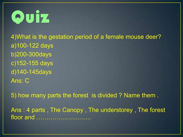 Mousedeer | PPT