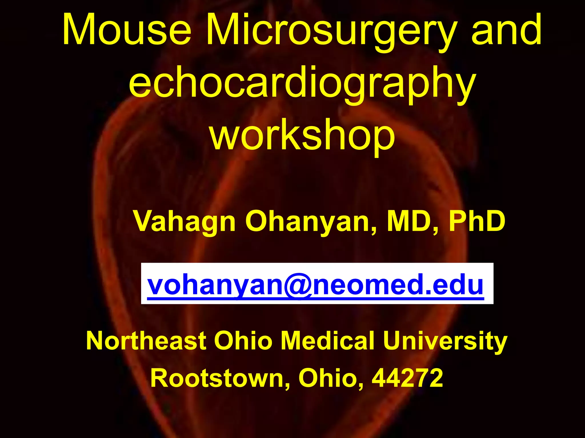 Mouse echocardiography, echo guided intraventricular and ...