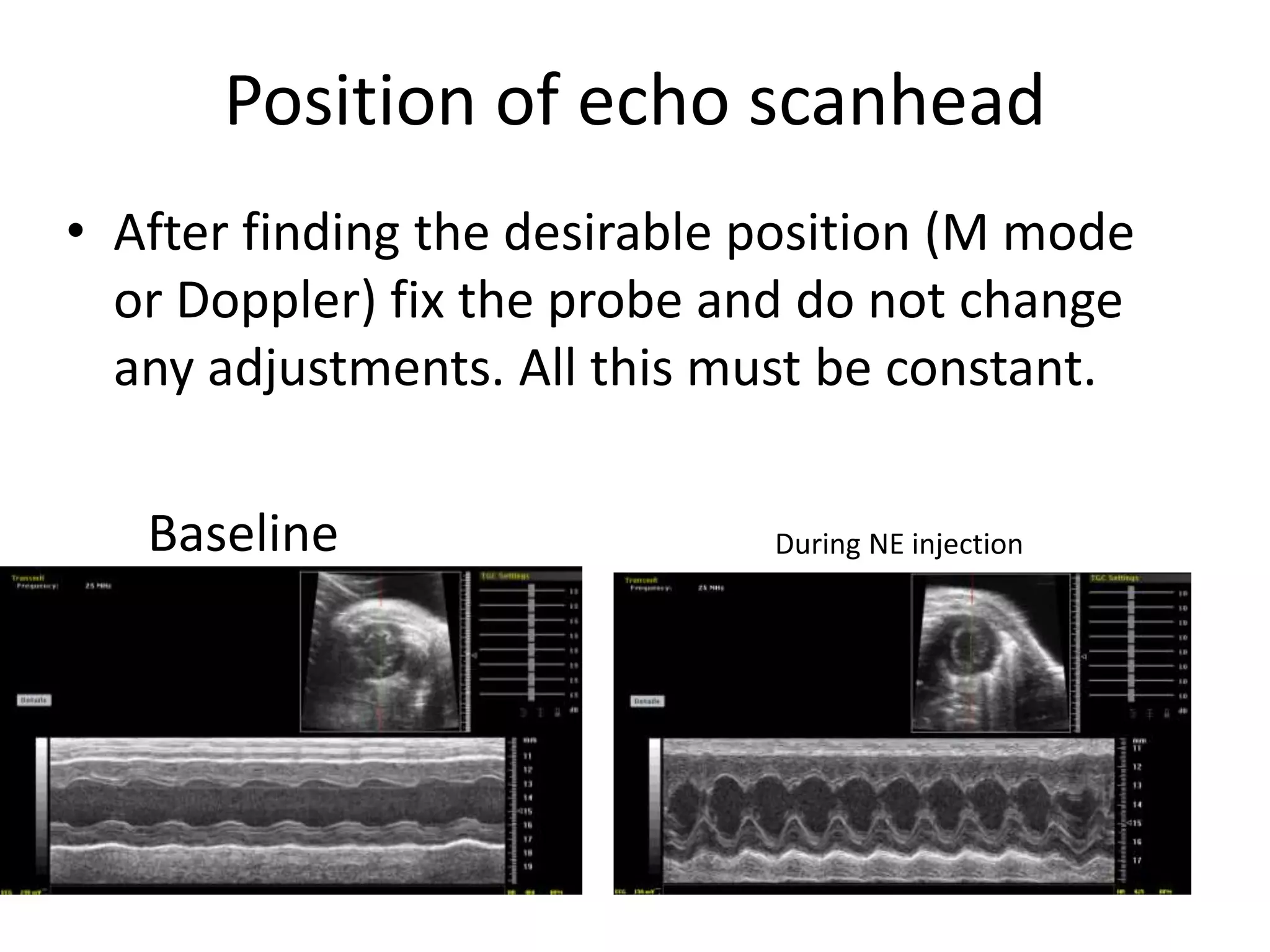 Mouse echocardiography, echo guided intraventricular and ...