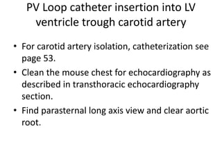 Mouse echocardiography, echo guided intraventricular and ...