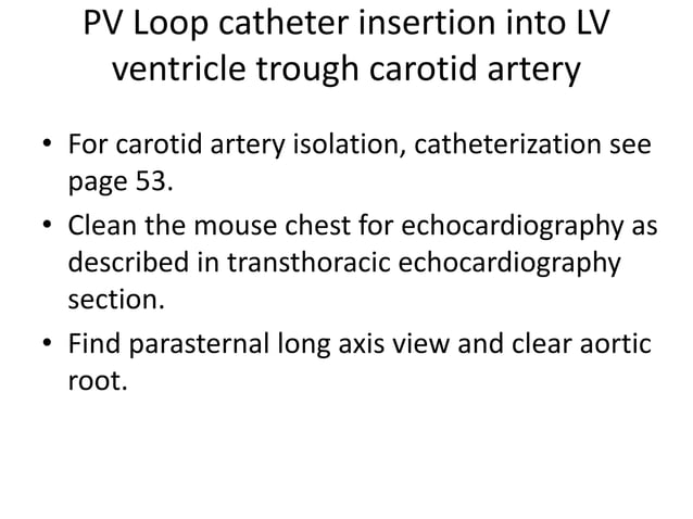 Mouse echocardiography, echo guided intraventricular and ...