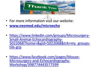 Mouse echocardiography, echo guided intraventricular and ...