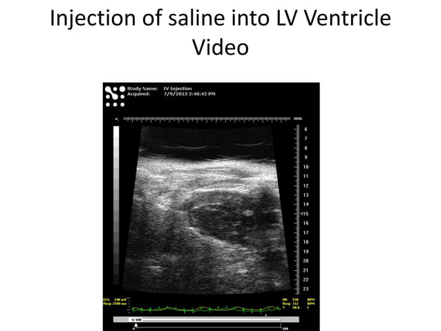 Mouse echocardiography, echo guided intraventricular and ...