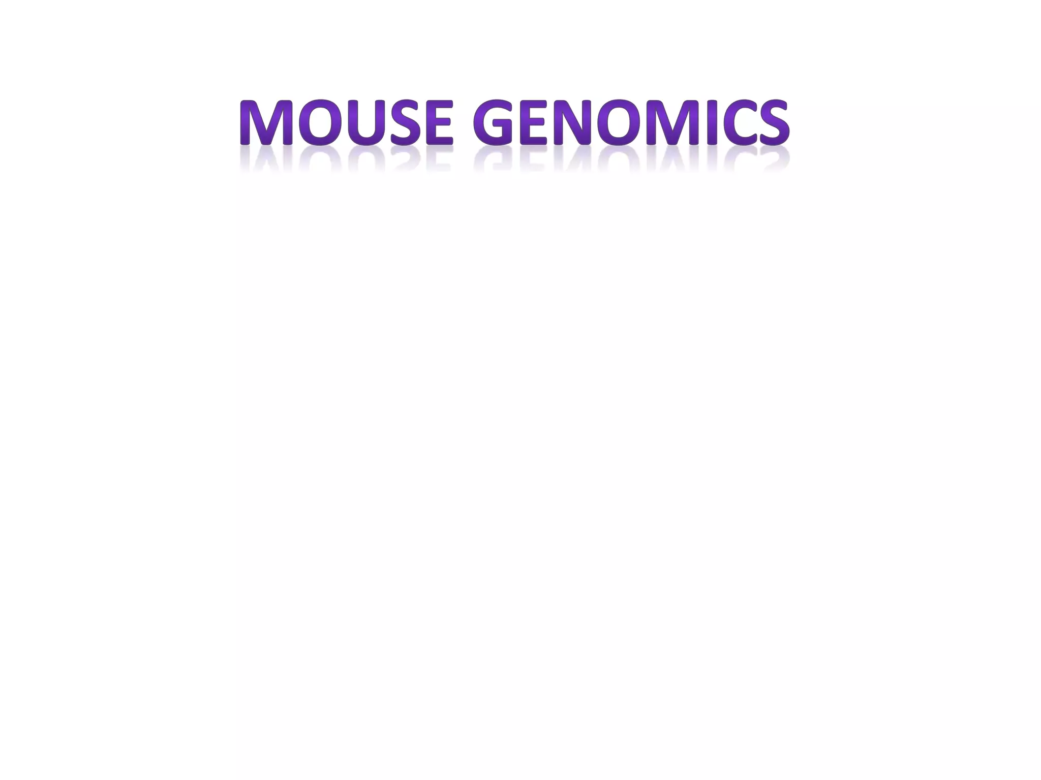 Mouse genome | PPTX