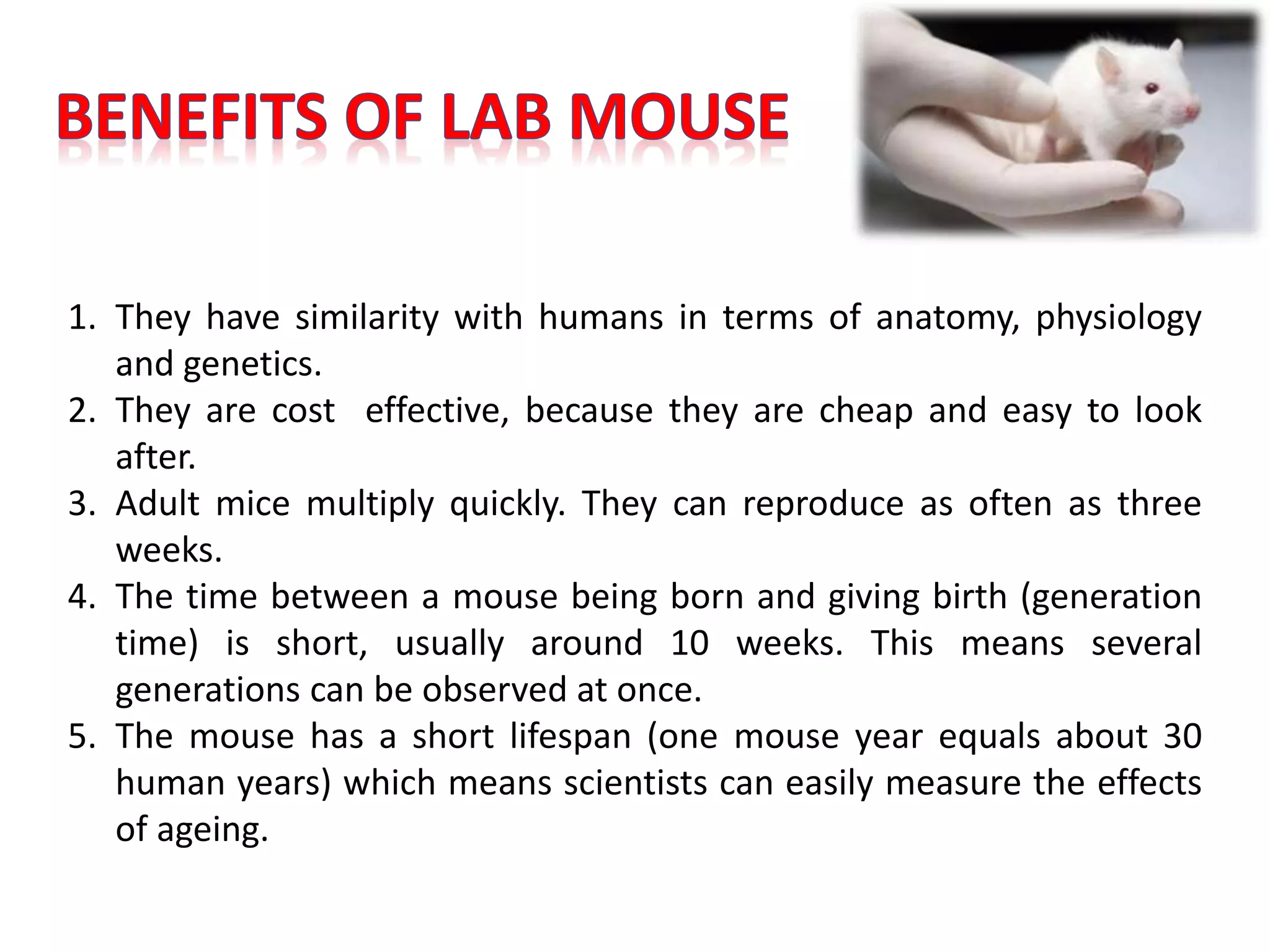 Mouse genome | PPTX