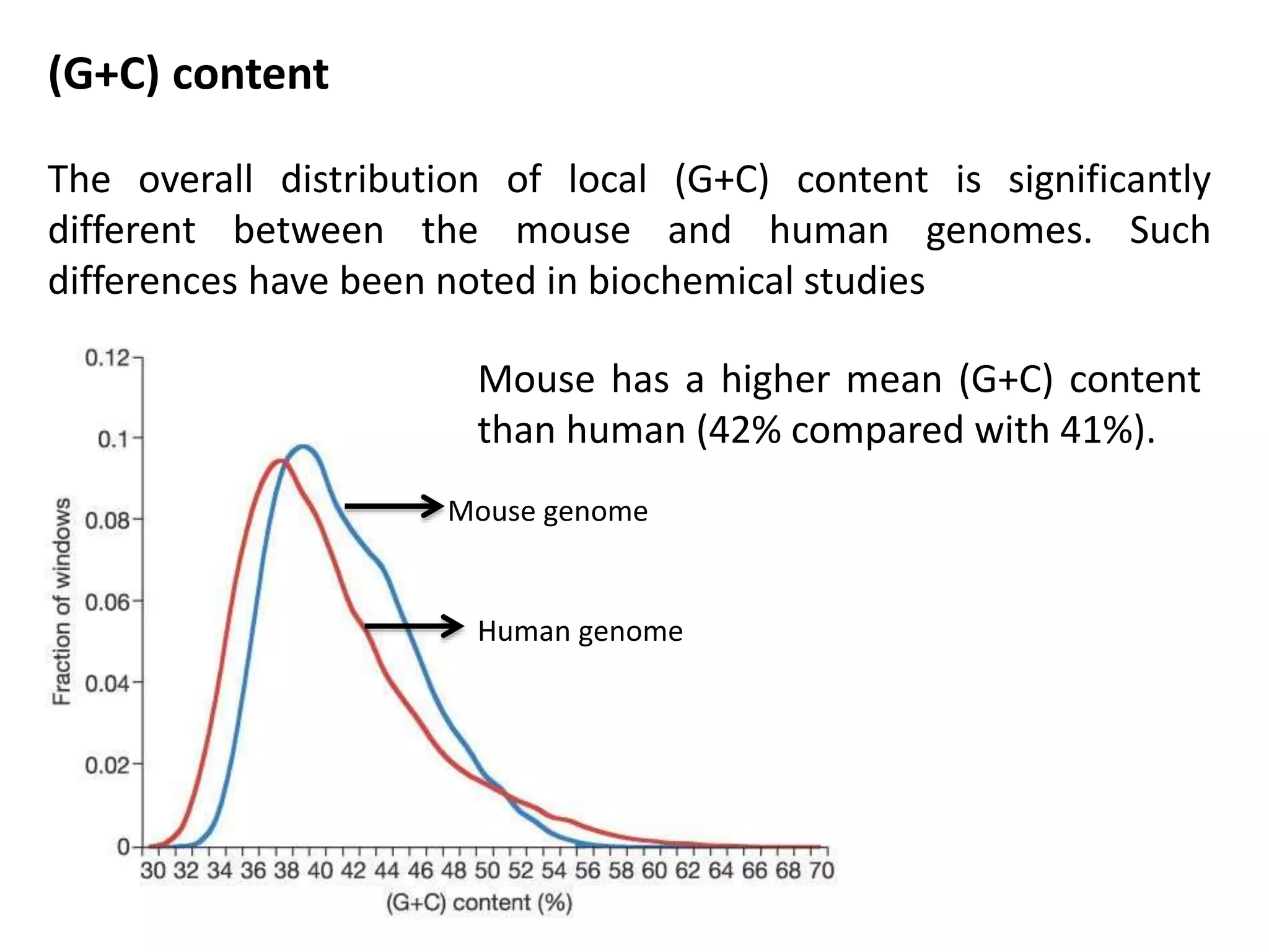 Mouse genome | PPTX