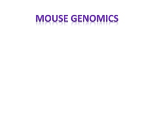 Mouse genome | PPTX | Genetics | Science
