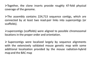 Mouse genome | PPTX