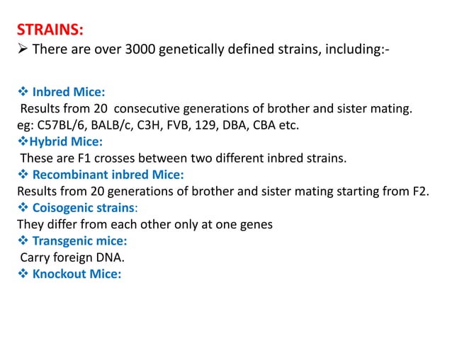 Mouse genome | PPTX | Genetics | Science
