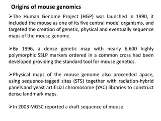 Mouse genome | PPTX | Genetics | Science