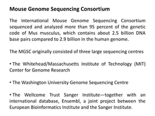 Mouse genome | PPTX | Genetics | Science