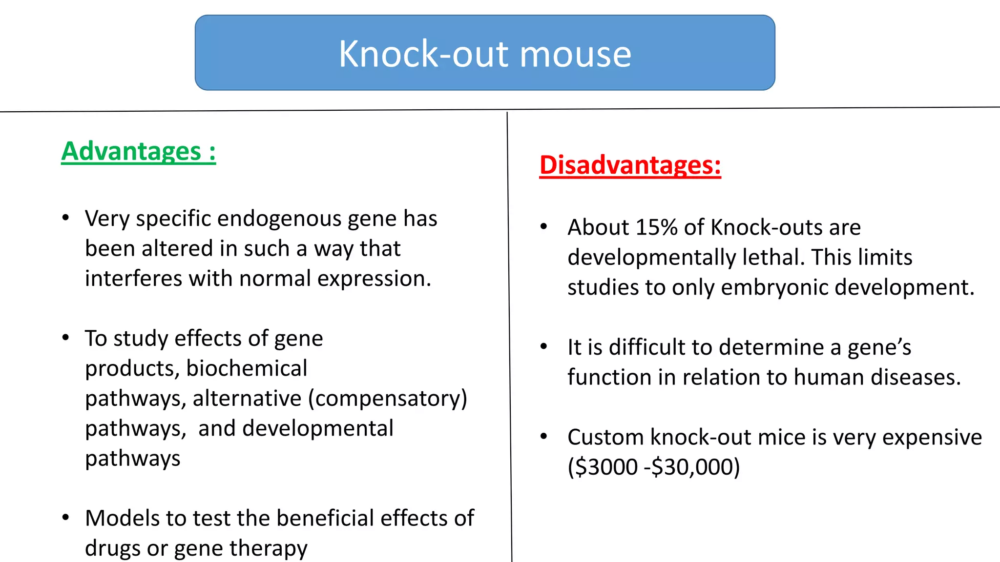 Mouse model: Pros & Cons | PPTX