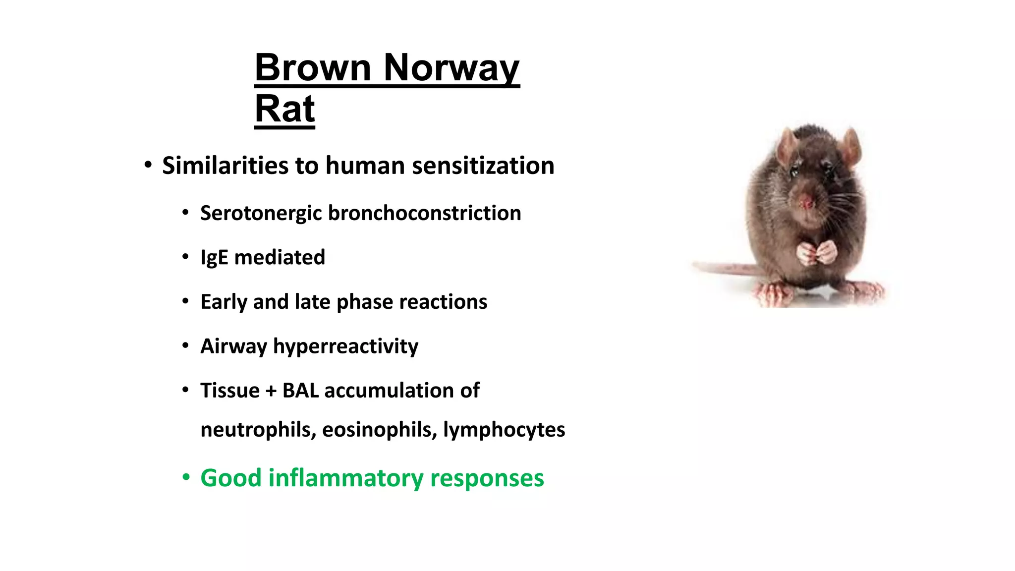 Mouse model: Pros & Cons | PPTX