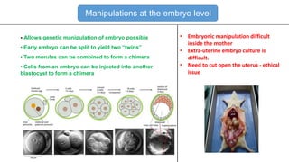 Mouse model: Pros & Cons | PPTX