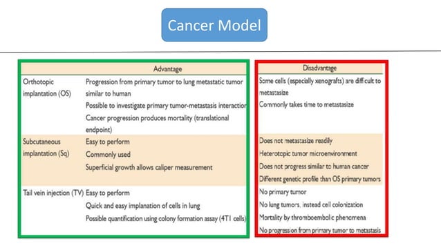 Mouse model: Pros & Cons | PPTX
