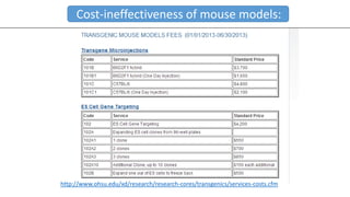 Mouse model: Pros & Cons | PPTX