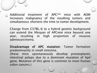 Mouse models of colorectal cancer | PPTX