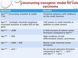 Mouse models of colorectal cancer | PPTX