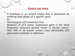 Mouse models of colorectal cancer | PPTX
