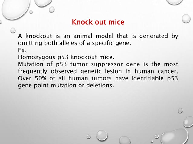 Mouse models of colorectal cancer | PPTX