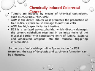 Mouse models of colorectal cancer | PPTX
