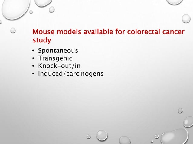 Mouse models of colorectal cancer | PPTX