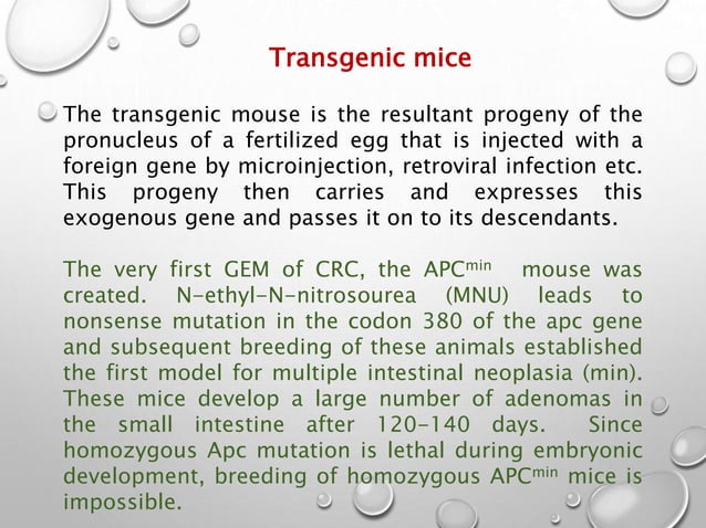 Mouse models of colorectal cancer | PPTX