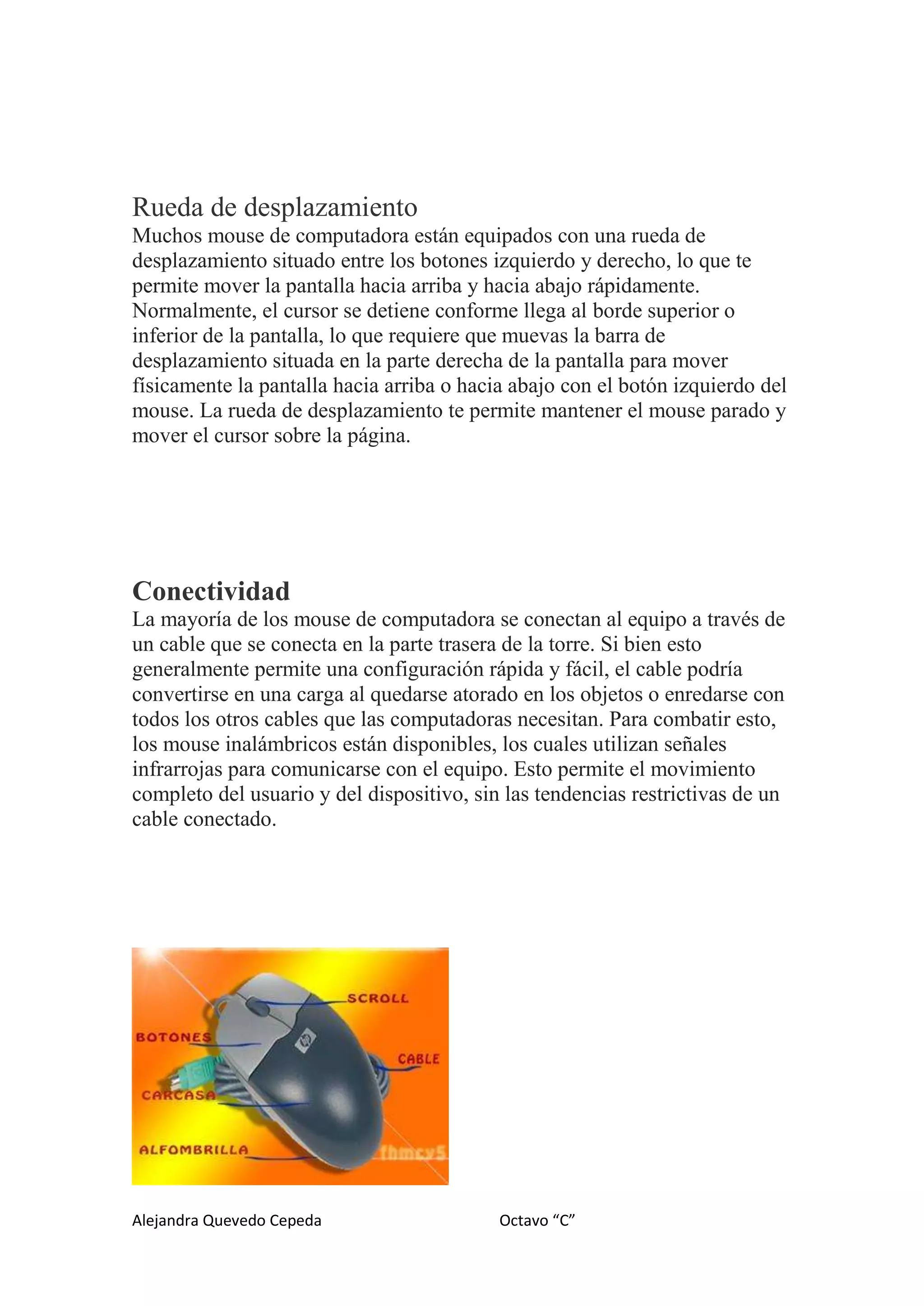 Mouse o ratón | DOCX