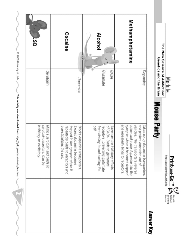 Mouse party | PDF | Illegal Drugs, Tobacco, eCigarettes, Vaping ...