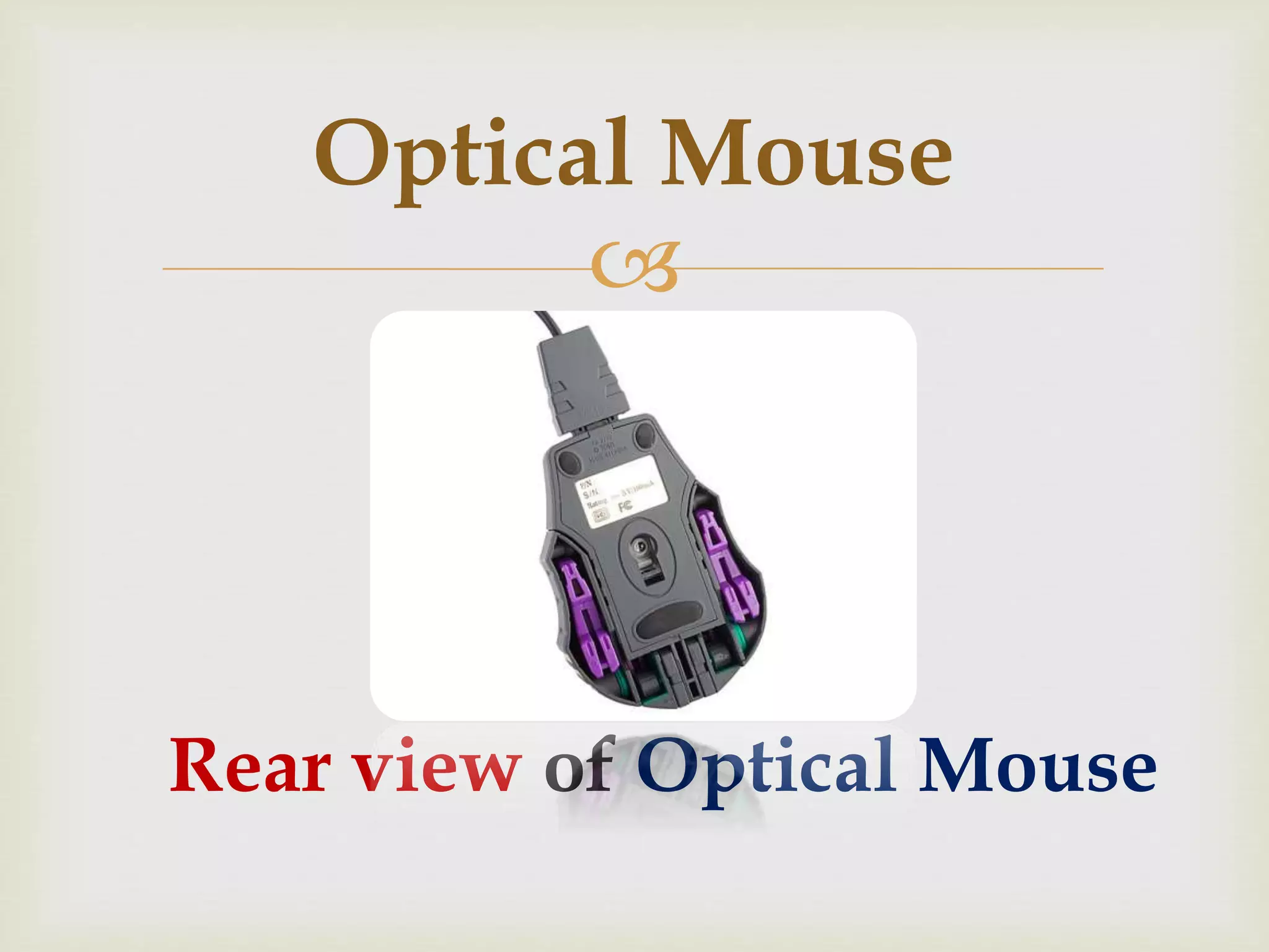 Mouse presentation | PPTX