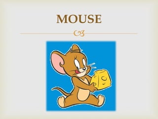 Mouse presentation | PPTX