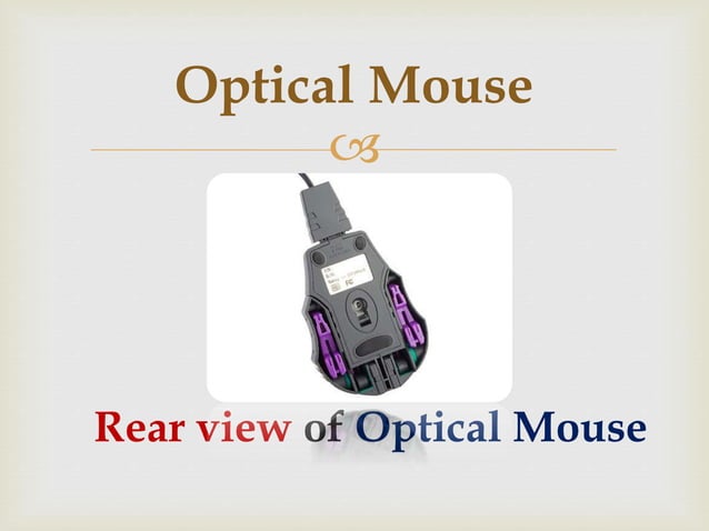 Mouse presentation | PPTX