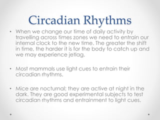 Circadian Activity in Mice | PPTX