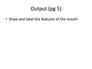 Mouth anatomy | PPTX
