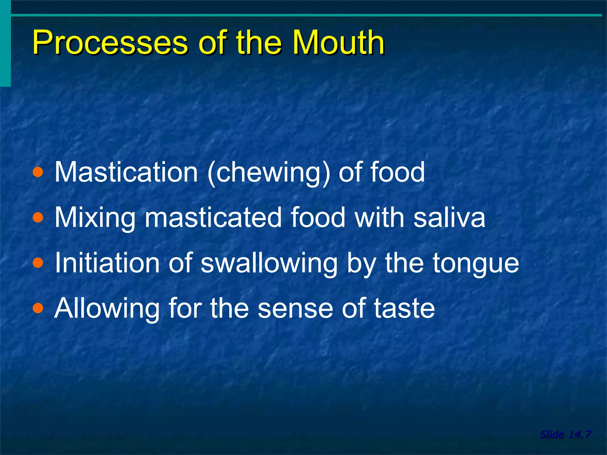 Mouth and esophagus ( anatomy , physiology) | PPT