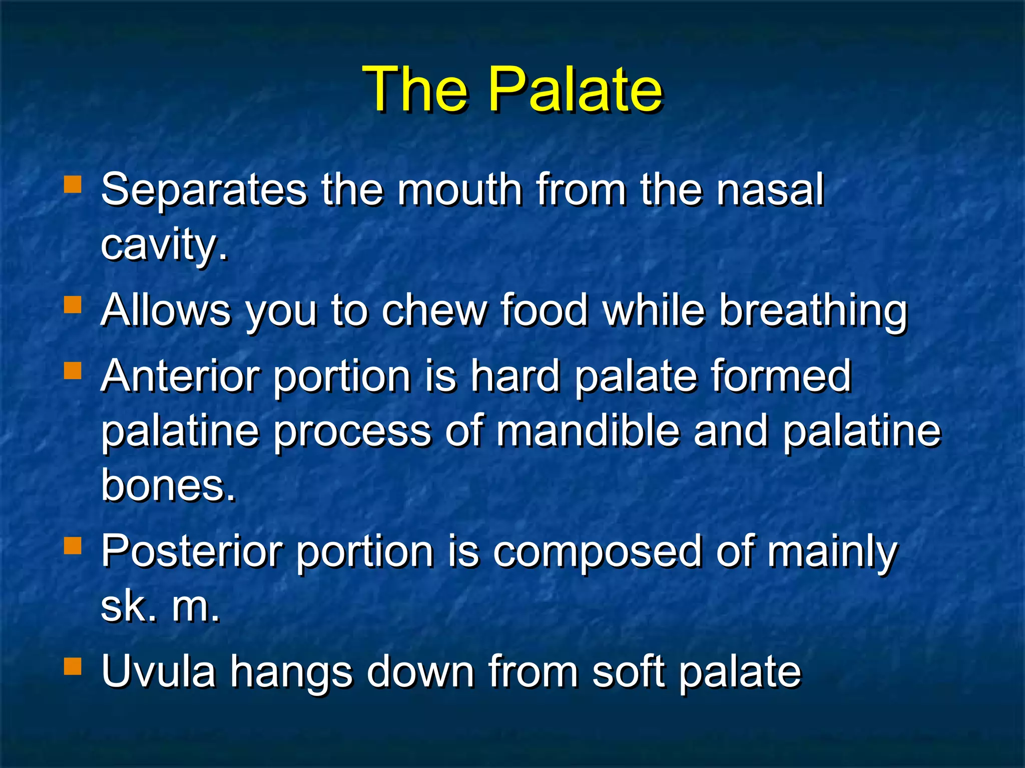 Mouth and esophagus ( anatomy , physiology) | PPT