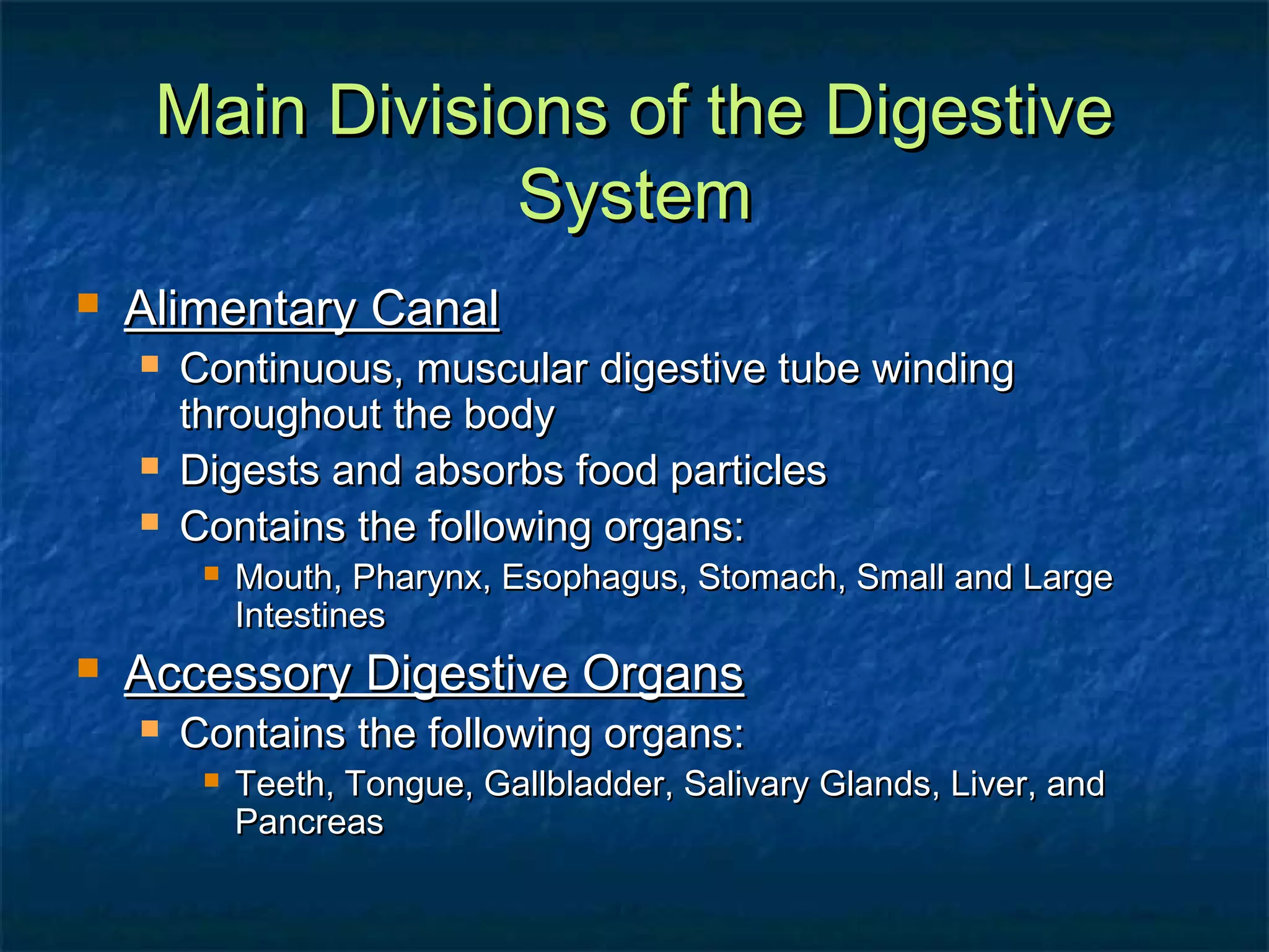 Mouth and esophagus ( anatomy , physiology) | PPT