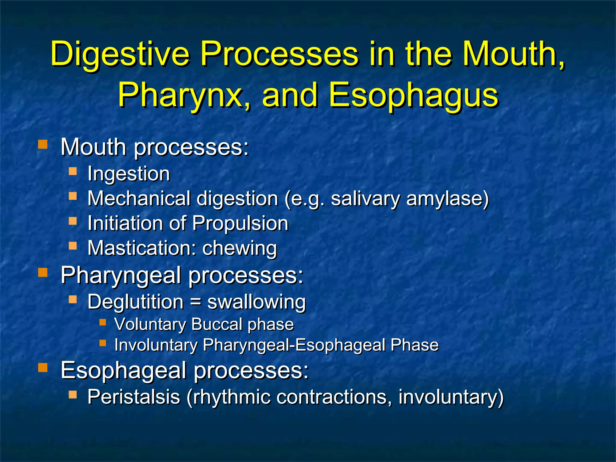 Mouth and esophagus ( anatomy , physiology) | PPT