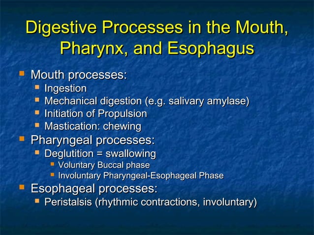 Mouth and esophagus ( anatomy , physiology) | PPT