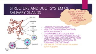 Mouth and salivary glands | PPTX
