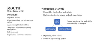 MOUTH AND SALIVARY GLANDS.pptx DIGESTIVE SYSTEM | PPTX